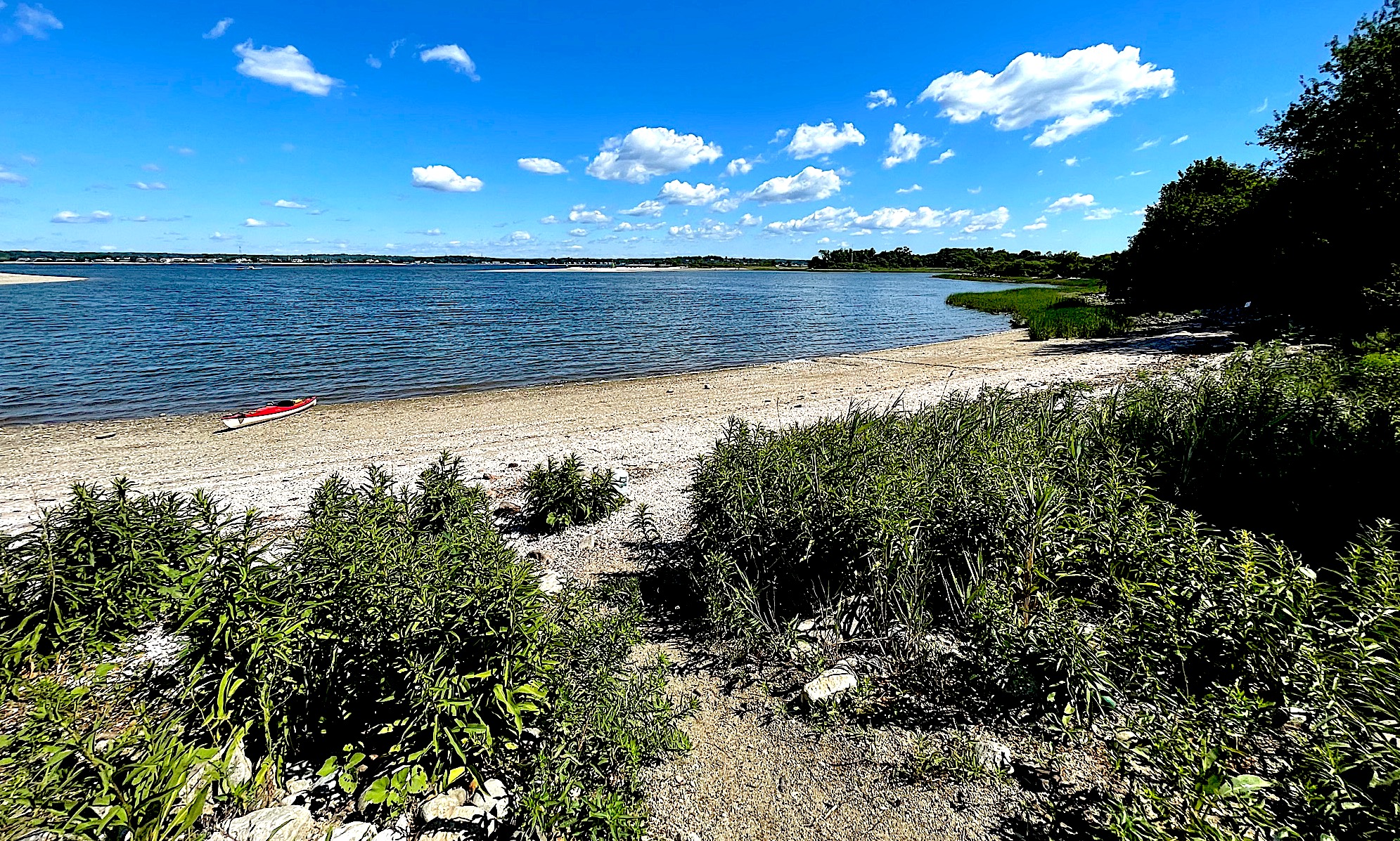 Cockenoe Island: A Change of Pace at Westport’s Offshore Place ...