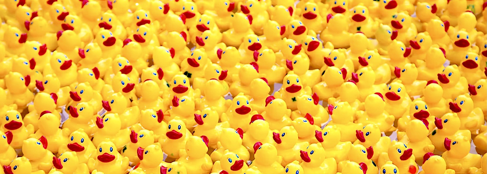 Fun most fowl: ‘Great Duck Race’ set June 29 | Westport Journal
