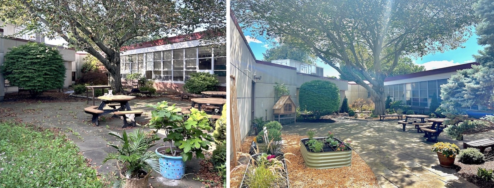 A courtyard blooms at Long Lots … for now | Westport Journal