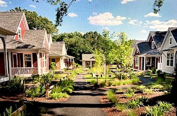 Hands-off Linxweiler plea heard as ‘affordable’ cottage cluster regs OK ...