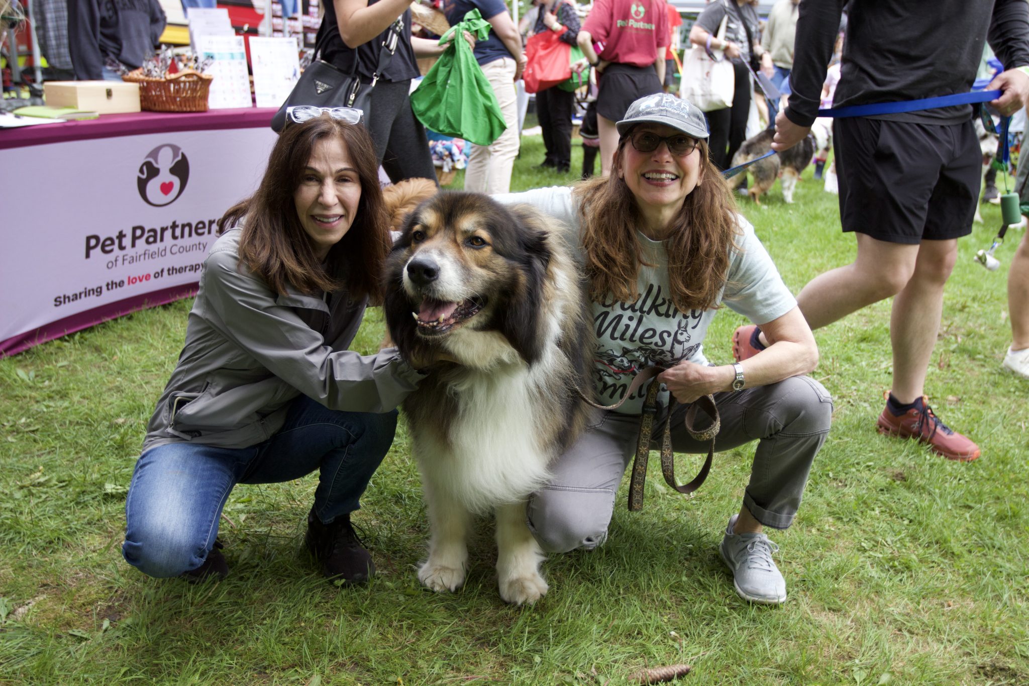 Westport Dog Festival bow-wows them all | Westport Journal