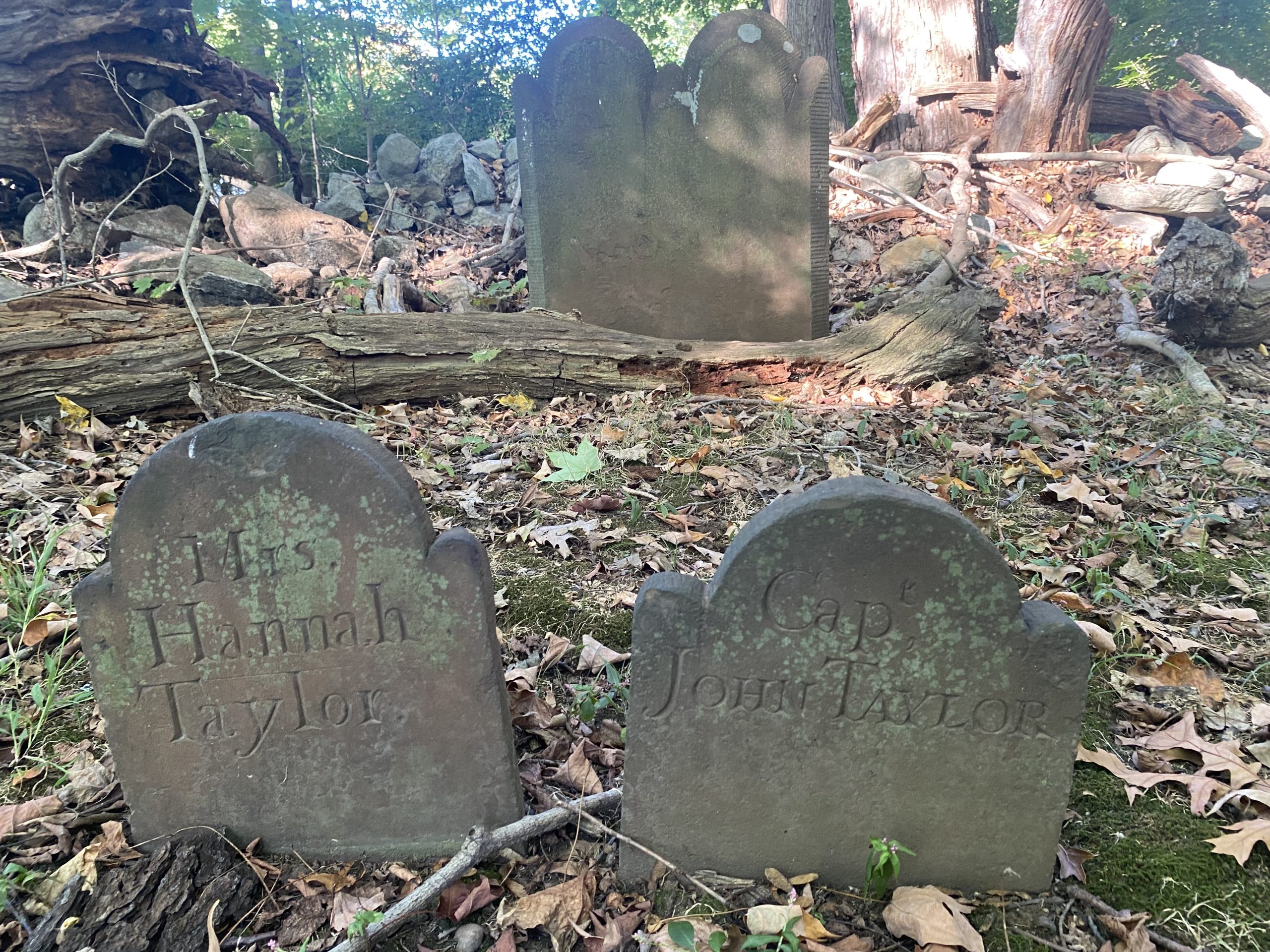 Preservationists urge restoration of Colonial-era Burial Ground